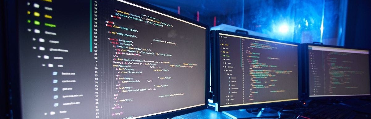 Taylor Goldman's Portfolio