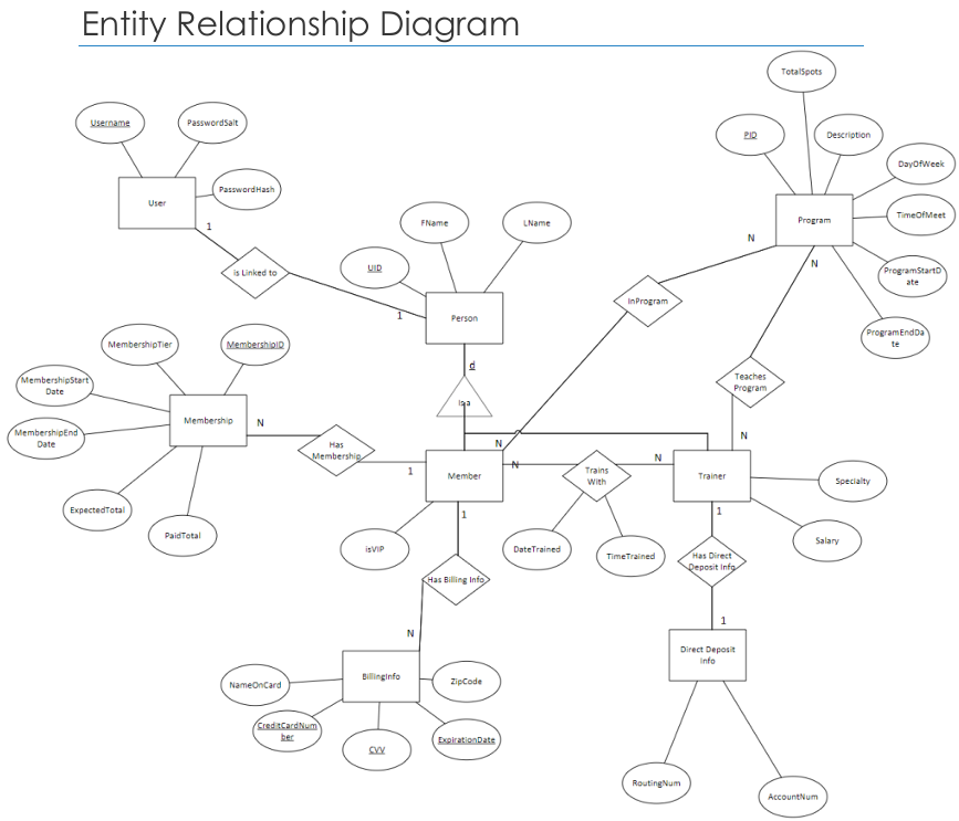 Taylor Goldman's Portfolio