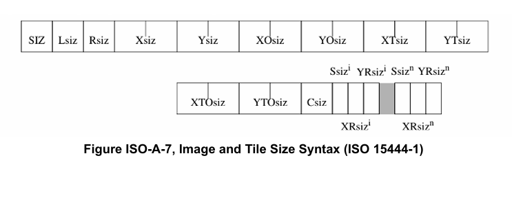 Taylor Goldman's Portfolio