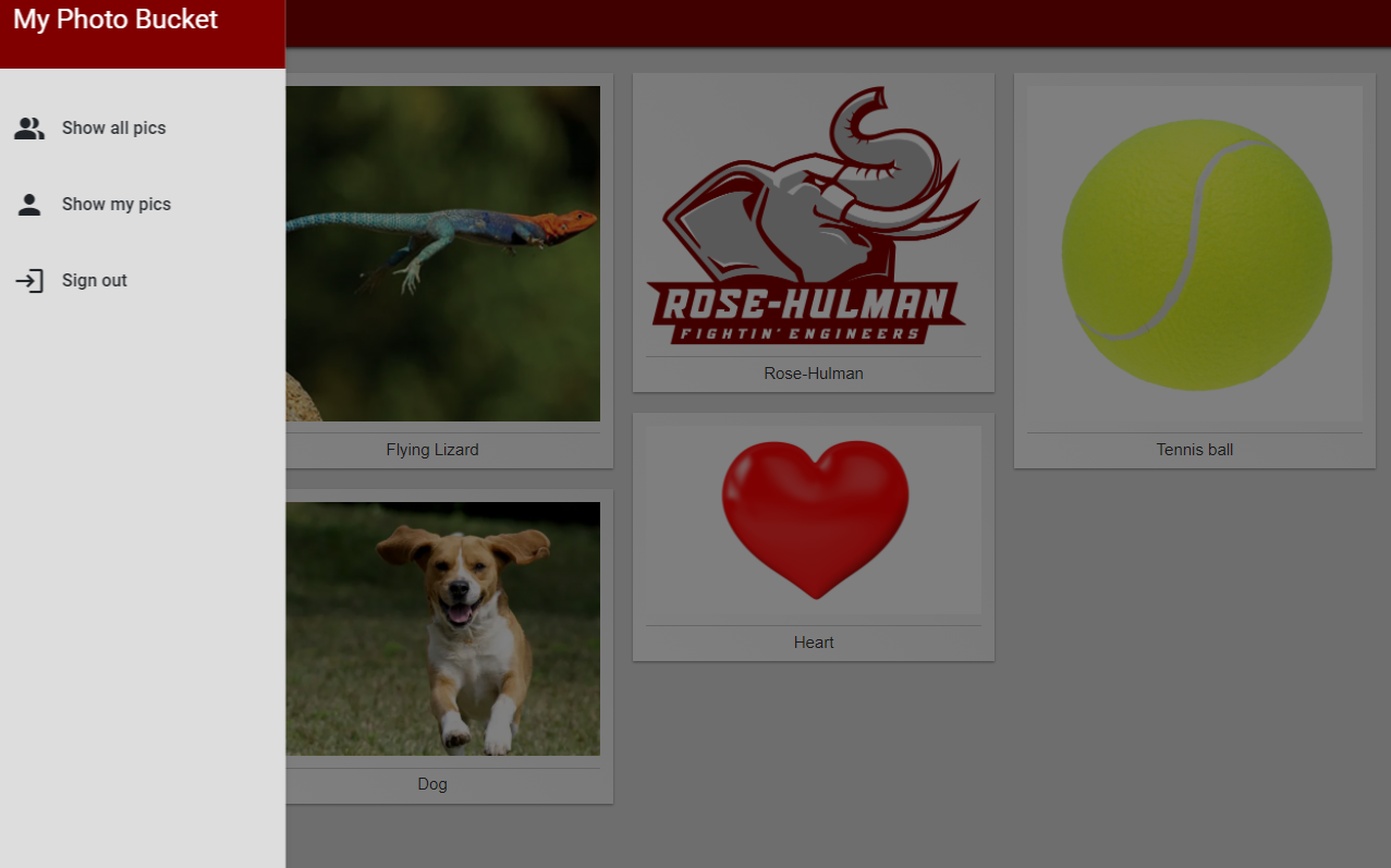 Taylor Goldman's Portfolio